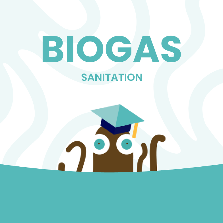 Biogas Sanitation - Trainings Octopus