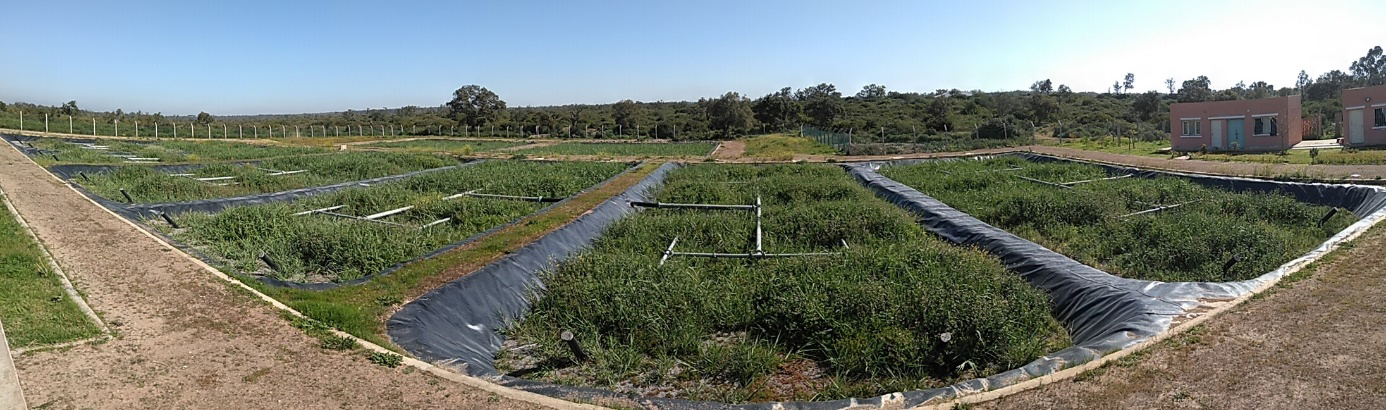 2.1 What are planted gravel filters? - Trainings Octopus