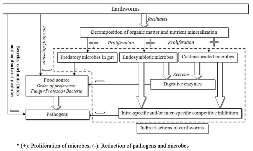 5.4 Vermicompost and pathogen reduction - Trainings Octopus